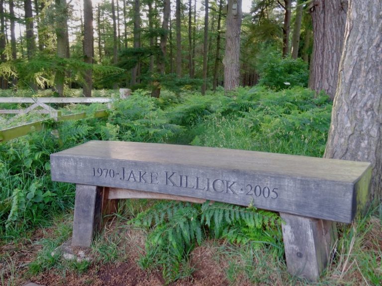 Decades of Dog Walks at Bowmont Forest in Scotland. - Leighton Travels!