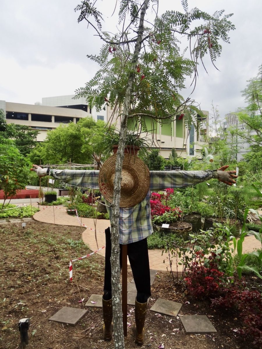 Hiking the Southern Ridges in Singapore. - Leighton Travels!