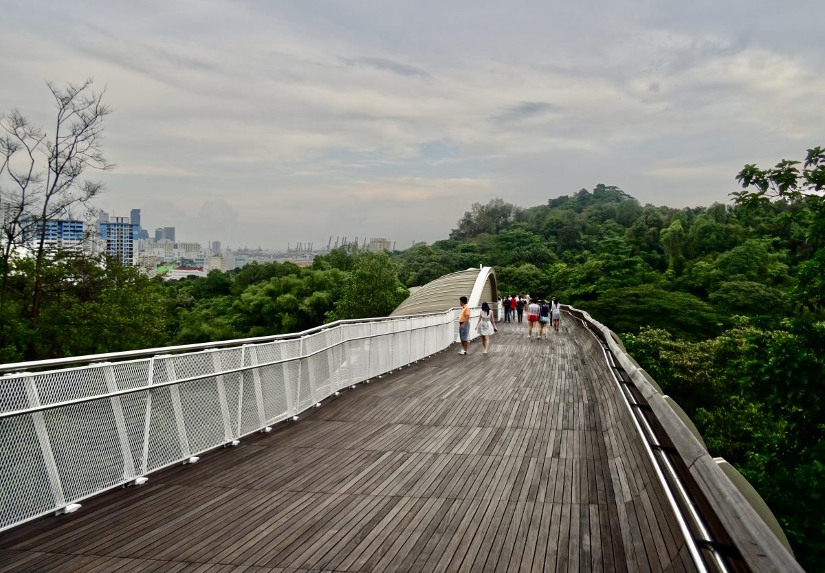 Hiking the Southern Ridges in Singapore. - Leighton Travels!