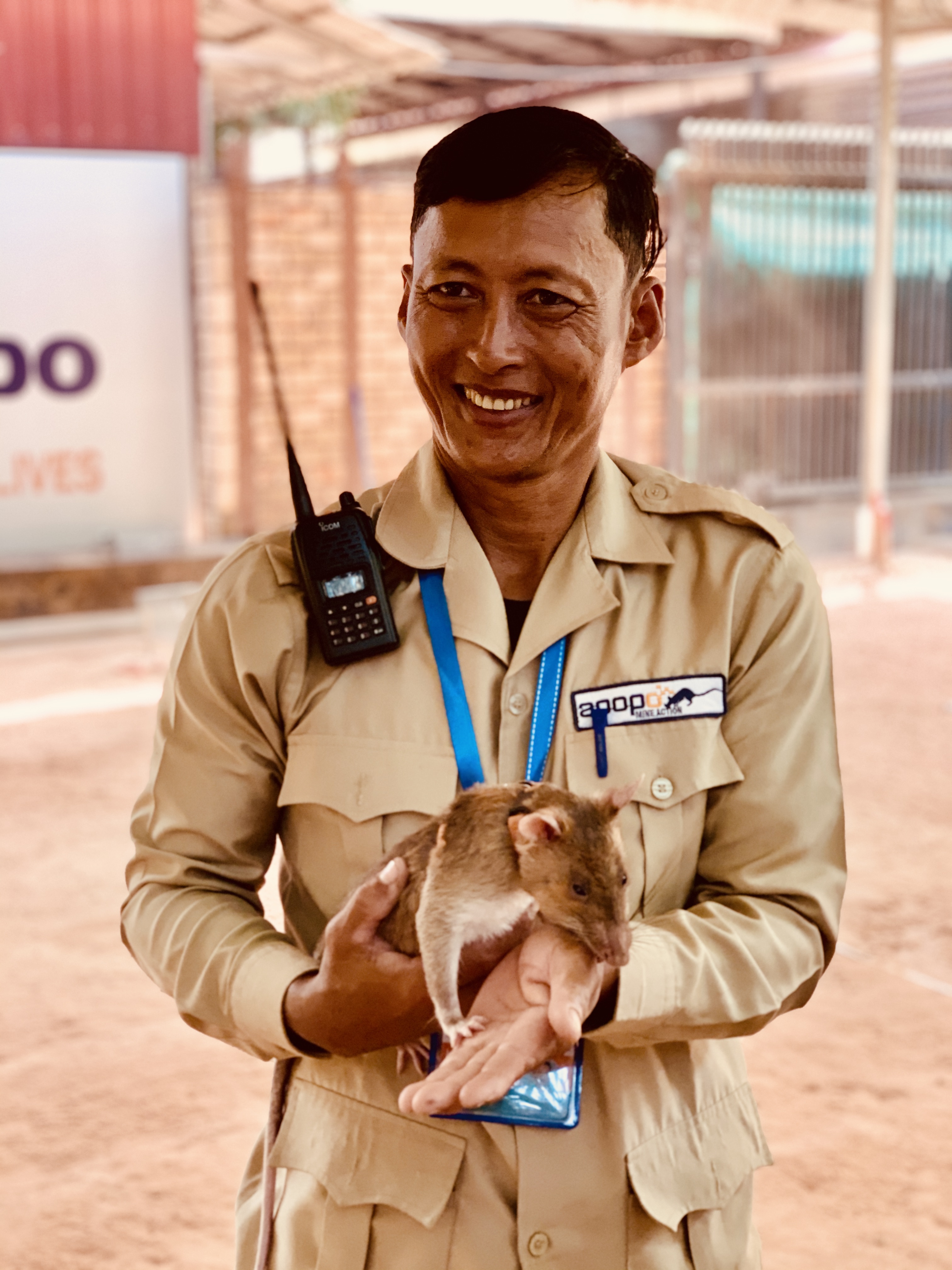 The APOPO Hero Rats, Siem Reap. - Leighton Travels!