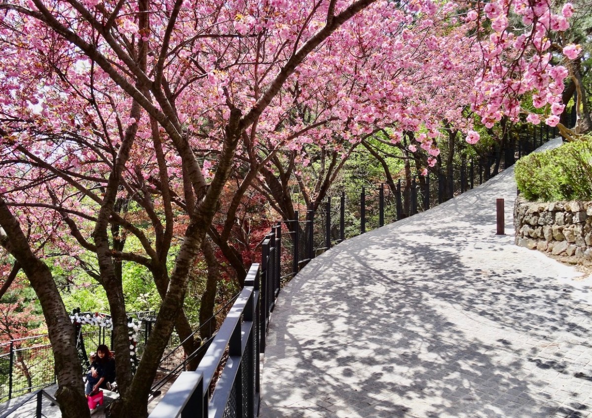 Atop Apsan Mountain in Daegu. - Leighton Travels!