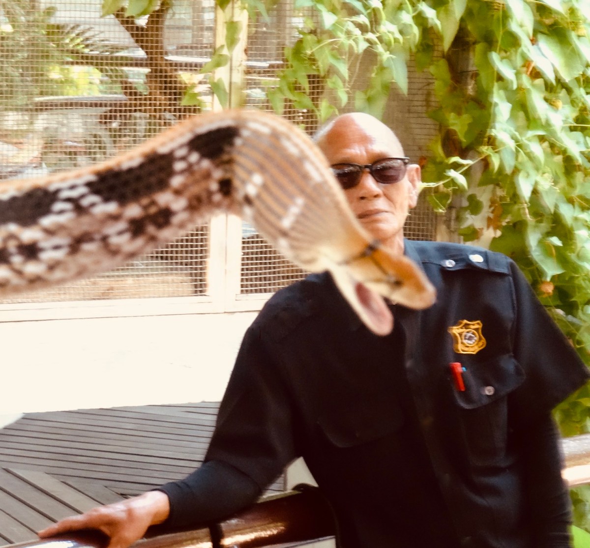 Hisses & Slithers at Bangkok Snake Farm. - Leighton Travels!
