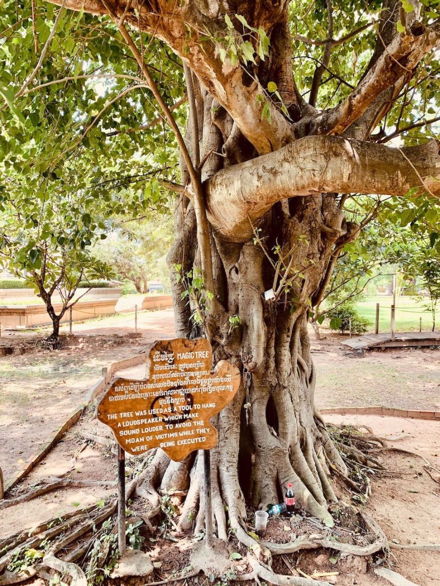 Cambodia's Horrifying Choeung Ek Killing Fields. - Leighton Travels!