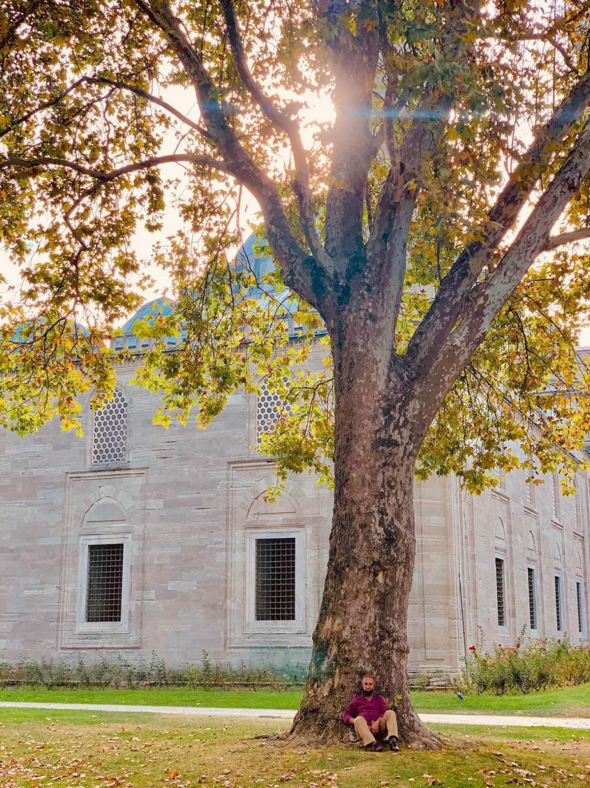 Spellbound by Suleymaniye Mosque. - Leighton Travels!